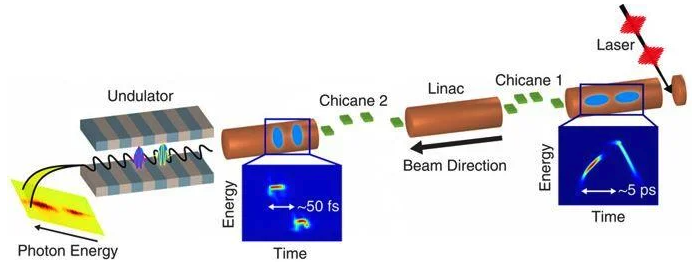 Free Electron Lasers | Accelerator Directorate